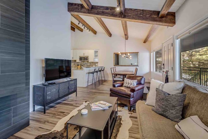 Ski-in Modern Condo In Aspen Core - Aspen, CO
