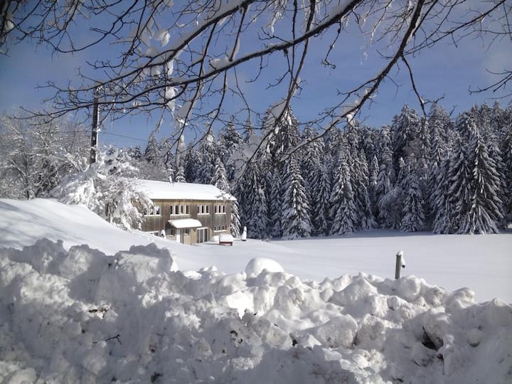 Au Coeur De La Forêt Vosgienne Gite Orme - Xonrupt-Longemer