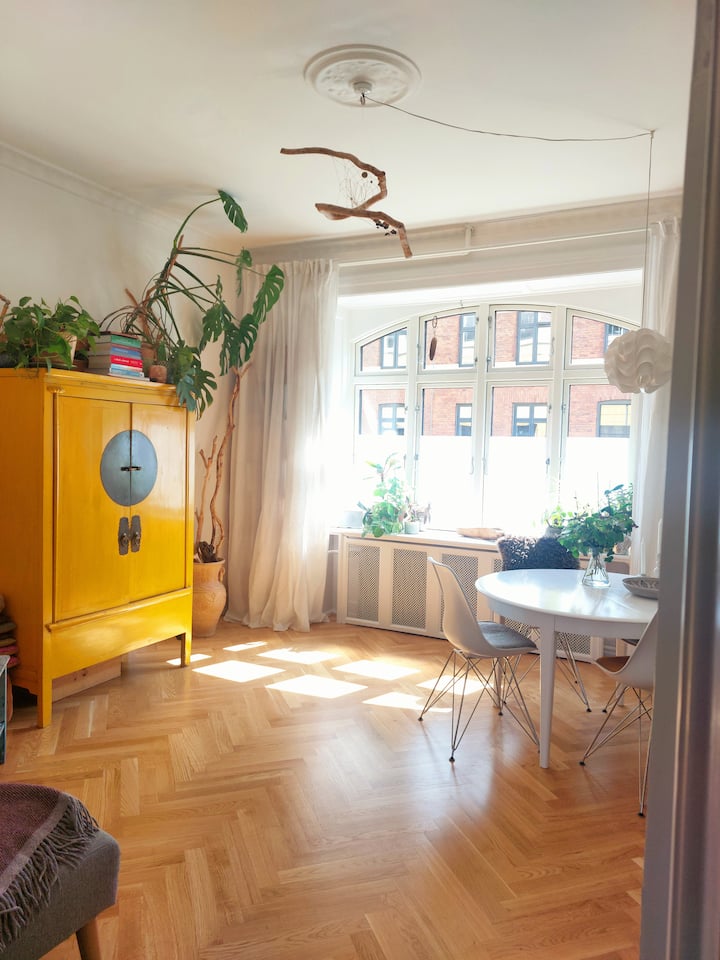 Cozy Apartment Near Nørrebro St - Copenhagen