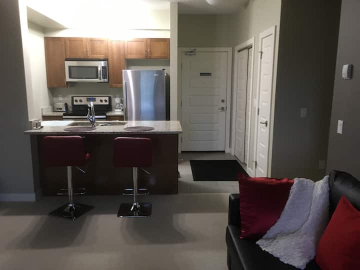 Cozy Clean Executive Condo - Edmonton, Canada