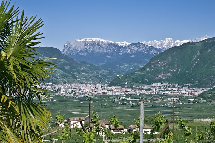 Ferienwohnung Latemar - Bolzano