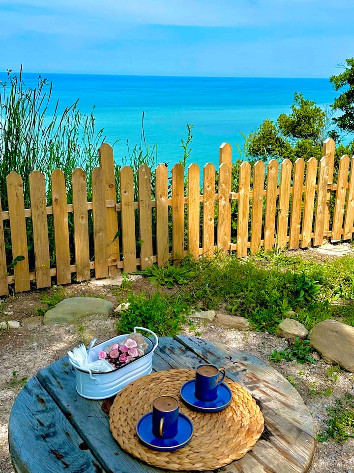 ÇAm Ormanı Ve Deniz Manzarasında Bir Gece. - Gerze