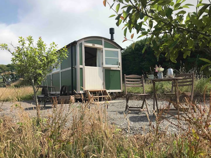 Shepherd's Hut In Wild Meadow Near Beaches - Salcombe