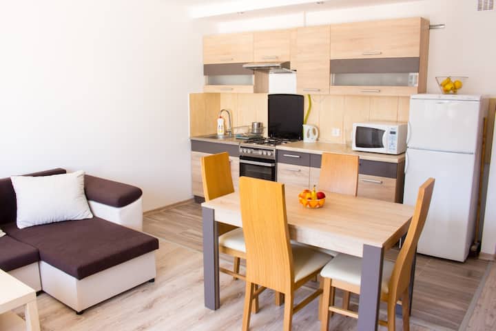 ♪Sunny & Charming Apart. - 2 Rooms - Poznań