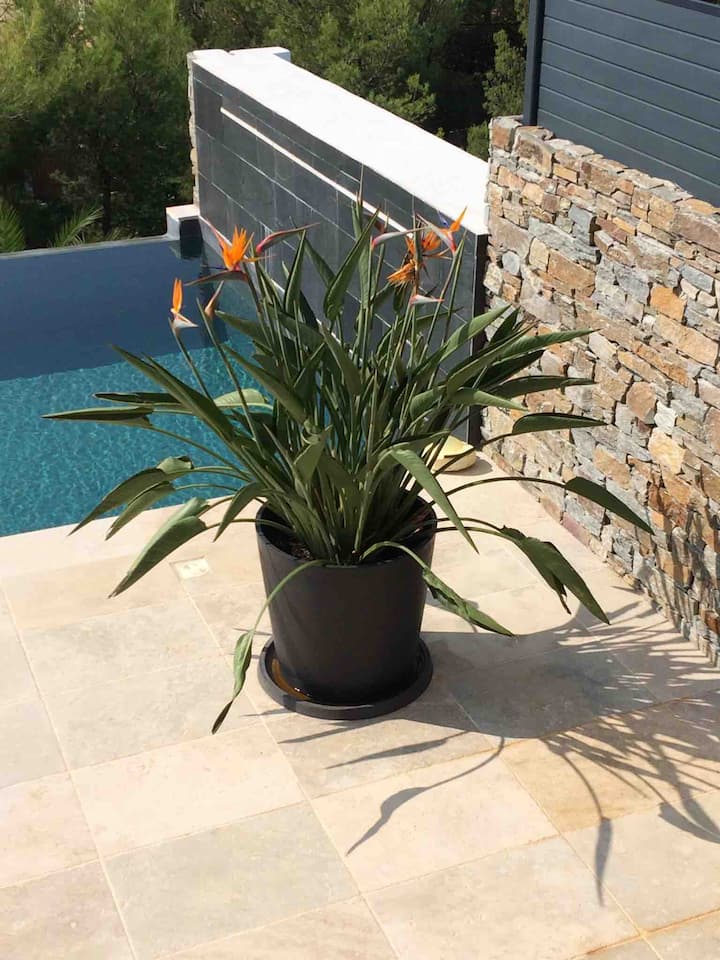 Appartement Vue Mer  En Rez-de-chaussée De Villa - Bandol