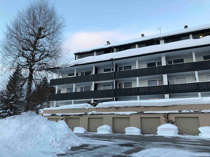 Alpenurlaub: 2-stöckige Wohnung Mit Traumaussicht - Bad Mitterndorf