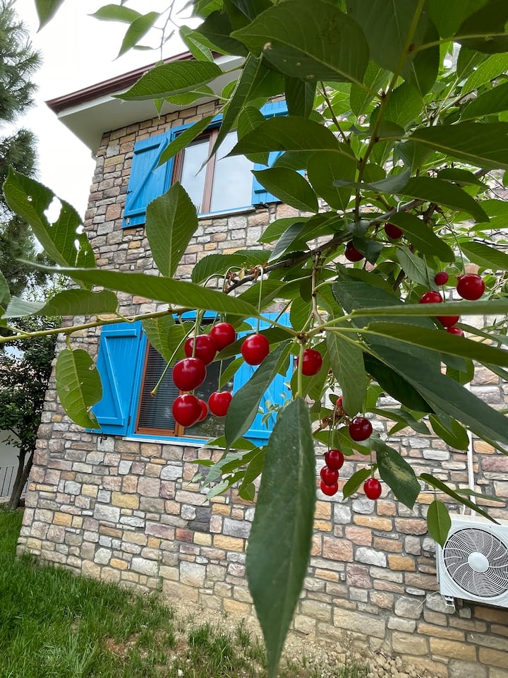 Merkezde Rum Mahallesinde Bahçeli Sıfır Daire 2+1 - Gökçeada