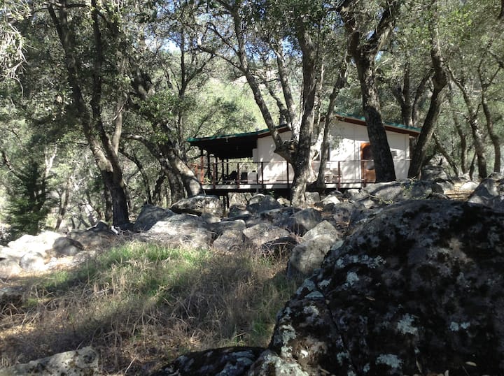 Cabin In Forest At Harrison Serenity Ranch - Palomar Mountain, CA