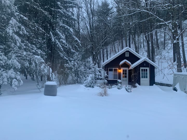 Streamside Catskills Cabin - Rock Hill, NY