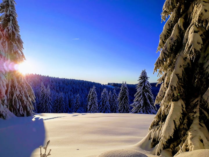 Chez Philomène, Centre Ville De Gérardmer - Gérardmer