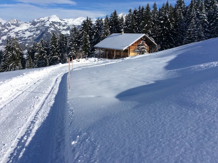 Berghaus 1400m, Natur Pur, Ruhig - Zweisimmen