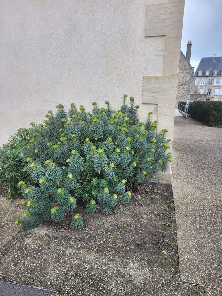 Jolie Maison Dans Petit Village - Bayeux