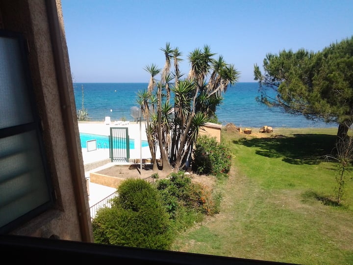 Magnifique Studio Les Pieds Dans L’eau ;) - Corsica