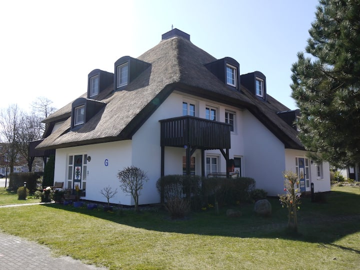 Schöne Reetdach-wohnung Am Darsser Urwald - Prerow