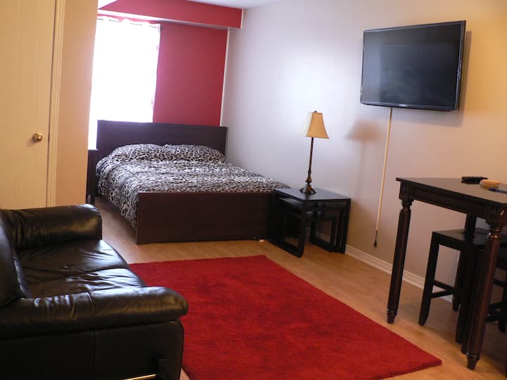 Clean And Comfortable Studio + Amazing Location - Ottawa