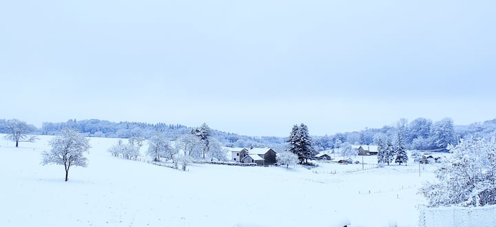 Evasion Nature- Paysage Verdoyant- Piscine Privée - Plombières-les-Bains