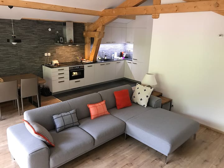 Lovely And Spacious  3-bedroom Apartment - Les Gets