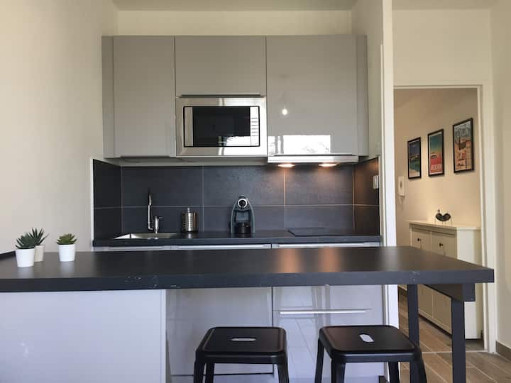 Le Petit Debrousse Confort Calme Lumineux, Parking - Lyon