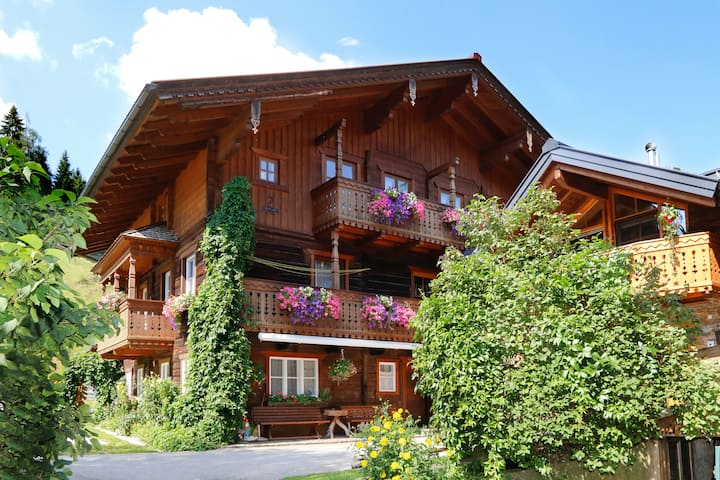 Deluxe Studio - Wagrain