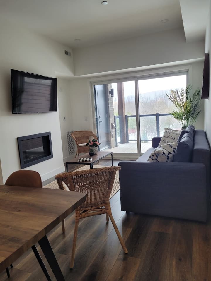 2 Bdrm Brand New Frnished Condo In Blue Mountain - Collingwood