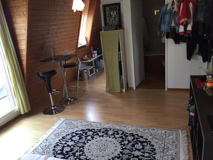 Charmant Studio, Emplacement Idéal (Lausanne)! - Lausanne