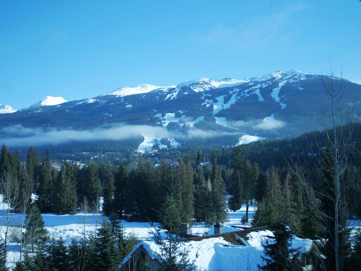 Breathtaking Views On Whistler/blackcomb Mountains - Whistler