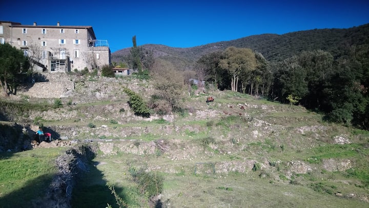 Gîte Unique 2 Chambres  Piscine Rivière Animaux - Mont Aigoual