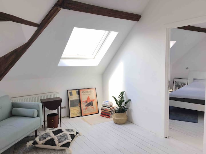 Bright Apartment Overlooking Eu Parliament - Bruxelles