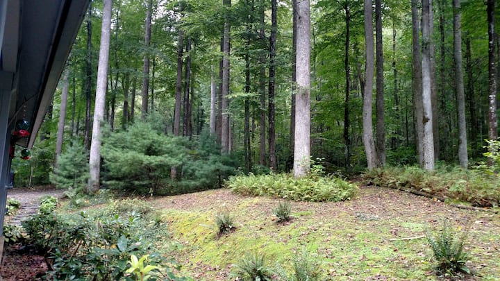 Mtn Cabin On Bold, Rocky Stream- Ac, Wi-fi, Dish - Cashiers, NC