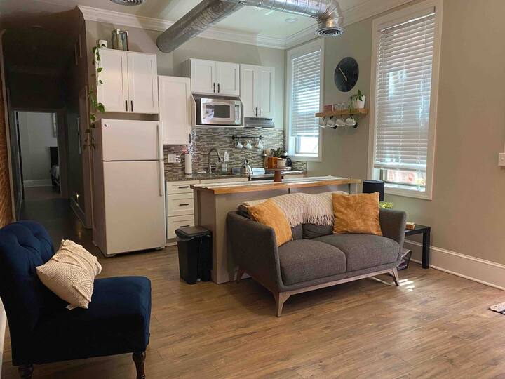 Renovated Apartment In Downtown Lancaster - Lancaster, PA