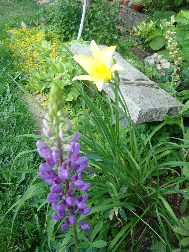 West Seattle Garden Home - Seattle, WA