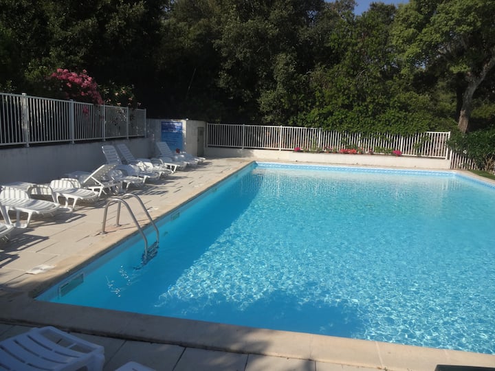 G. Studio Dans Résidence Avec Piscine - Korsika