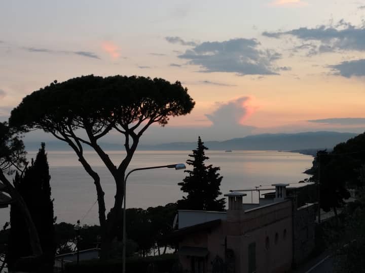 Paradise Suite - Recco