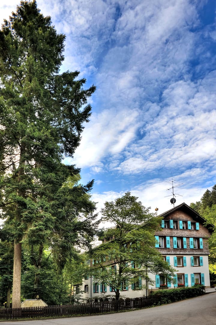 Steinabad - Appartement Belchen - Grafenhausen