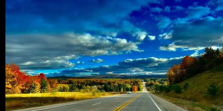 Manistee River cabin - Cabins for Rent in Mesick, Michigan, United States