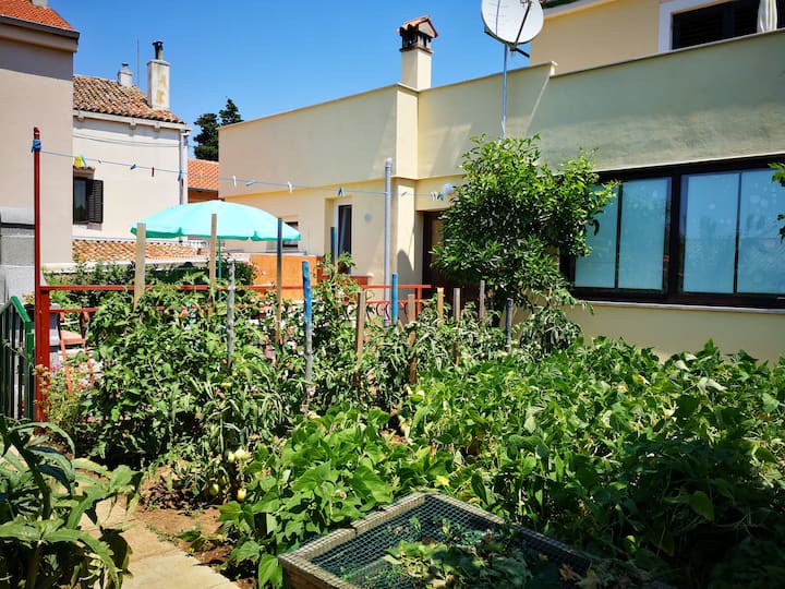 Zelina - One Bedroom Apartment With Terrace - Mali Lošinj