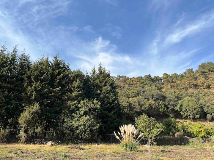 Malinalco Glamping Resort, Huerta Hermosa - Malinalco