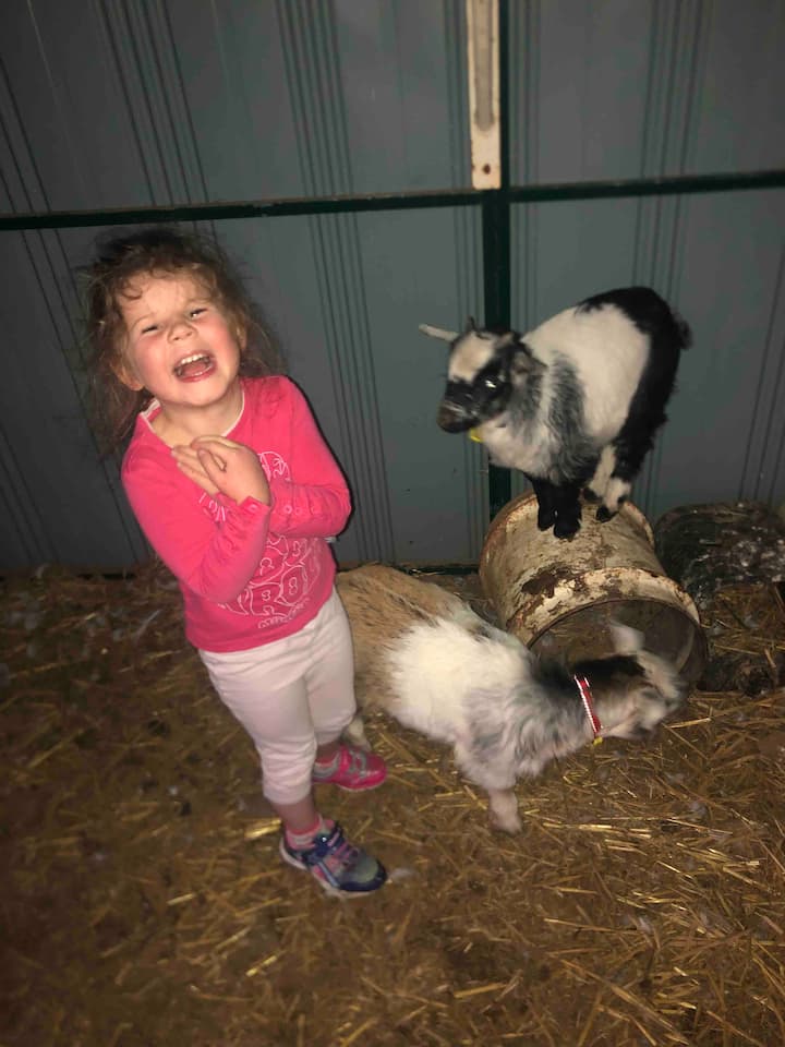 Top 12 Cabins In The Snowy Mountains, Australia - Updated 2025 | Trip101