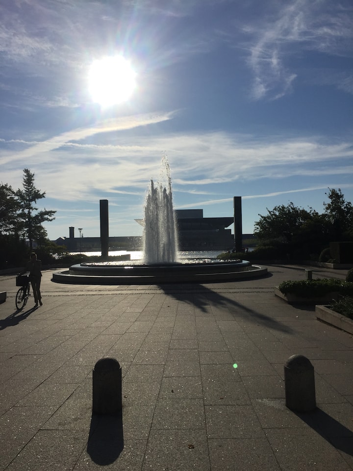 Familevenlig Centralt I København - Kopenhag