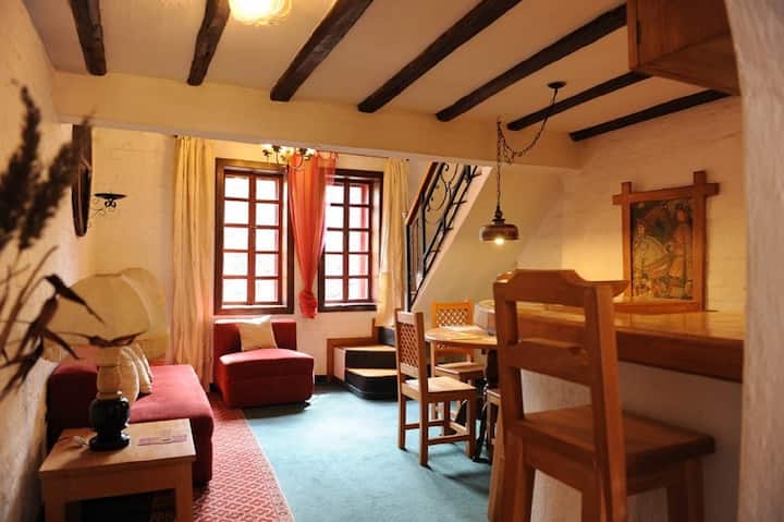 Furnished Loft In La Mariscal - Quito