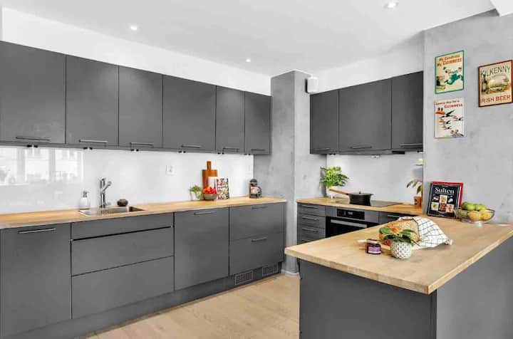 Historic Modern Apartment Near Oslo Center - Oslo