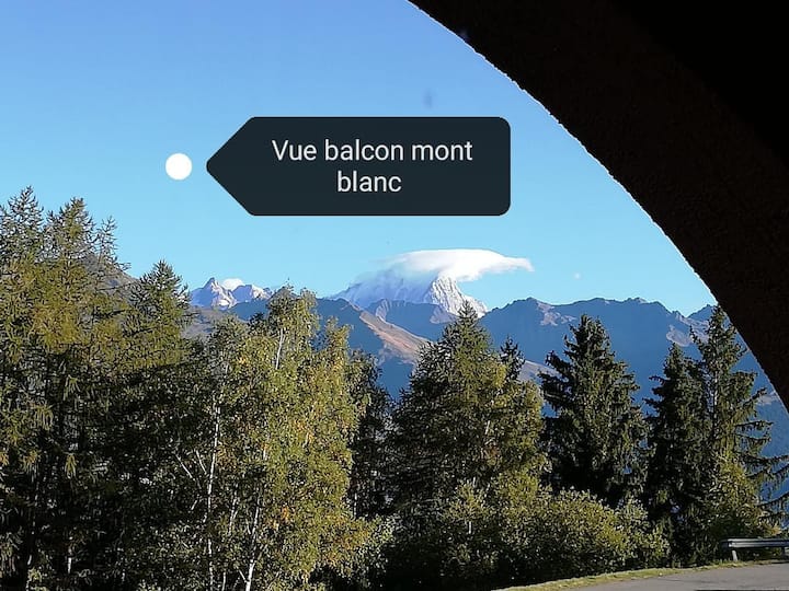 Appart Les Coches Montchavin La Plagne - Peisey-Nancroix