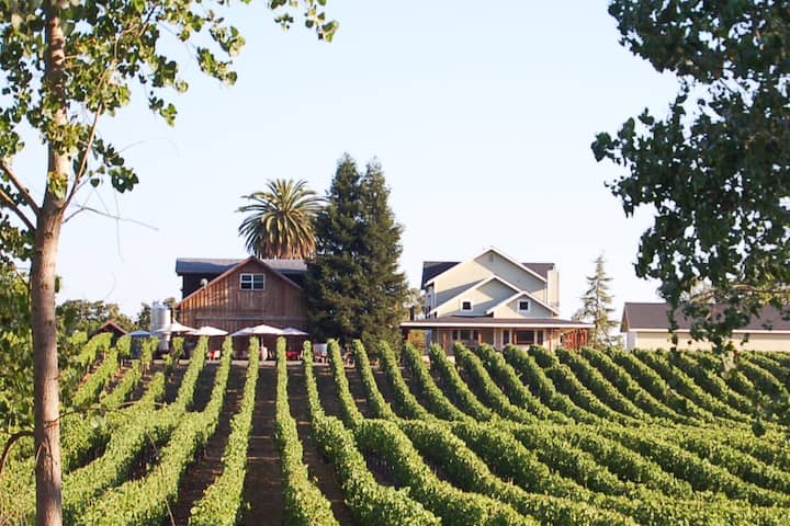 Winter Deal Getaway Stay On The Vineyard! 5 Suites - Guerneville, CA