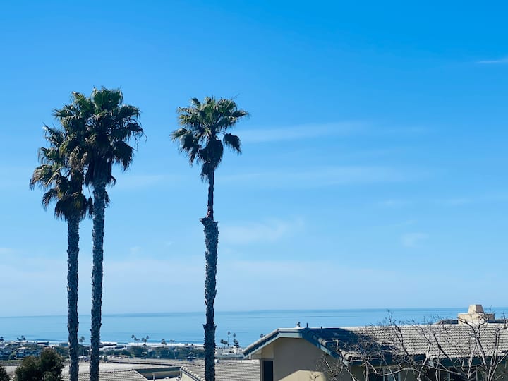 Luxe Ocean View Condo In Solana Beach Ca - Del Mar, CA