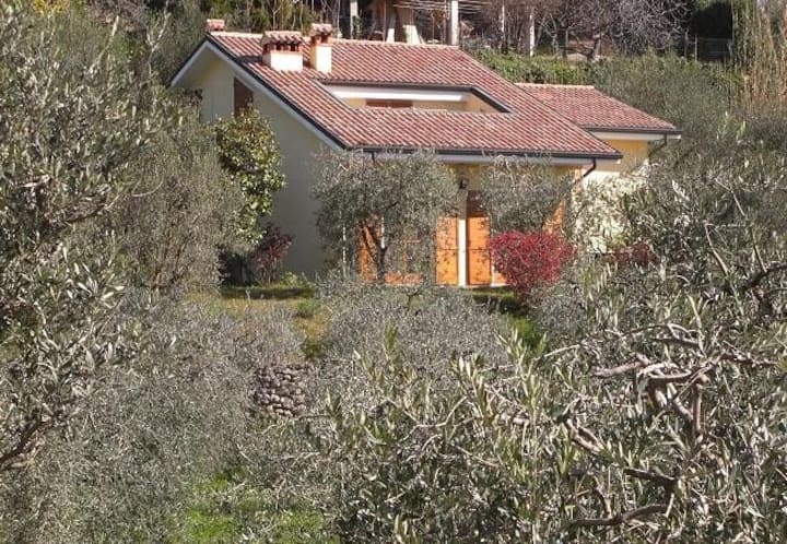 Villa Rocca - Torri del Benaco