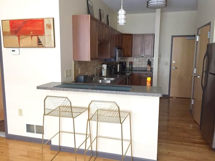 Urban Loft- Mid-century Living At It's Best - Rochester, NY