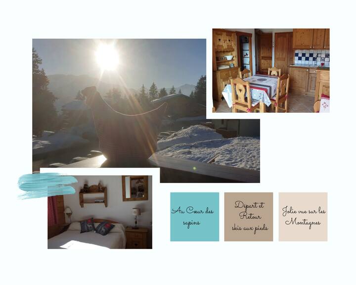 Apt Cosy, Au Cœur Des Sapins,
 Les Saisies - Hauteluce - Les Saisies