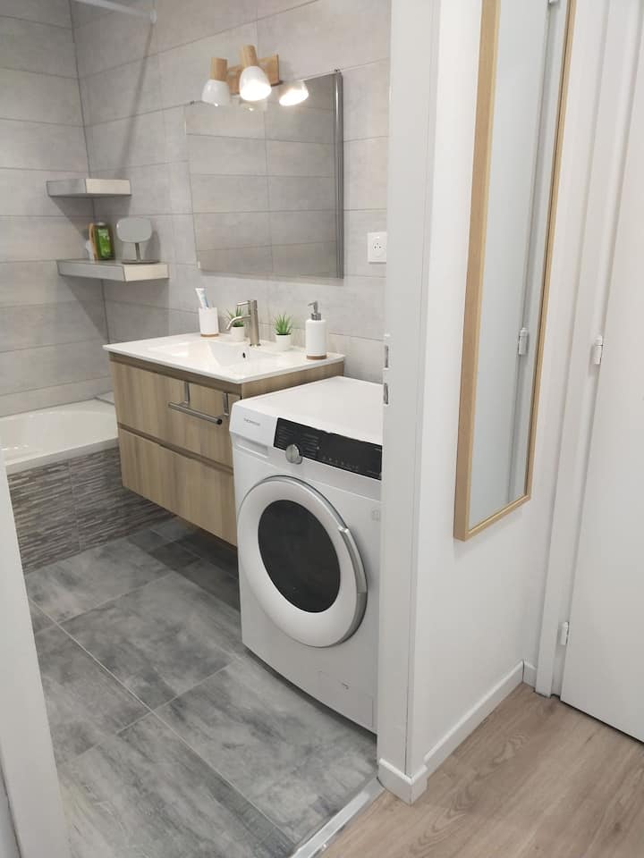 Centre Ville (Austerlitz) 5 Mn à Pied Cathédrale - Strassburg