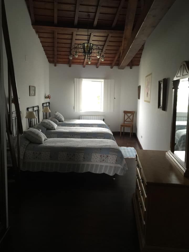 Casona En La Ribera Sacra - Monforte de Lemos