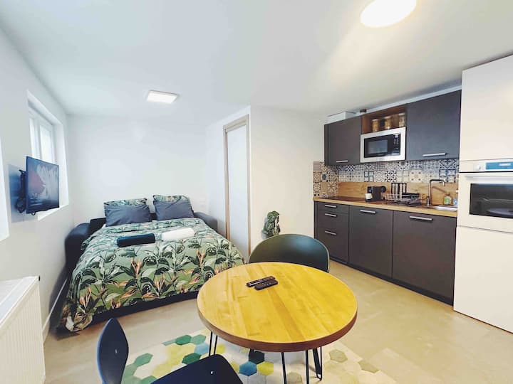 Joli Studio Proche De Paris - Le Perreux-sur-Marne